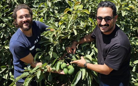 Biomass accounts for 95 percent of Lebanese organic fresh fruits and ...